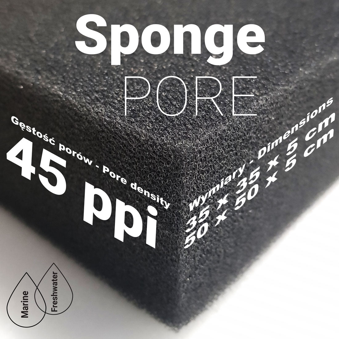 Sponge Pore – Happy Shrimp House