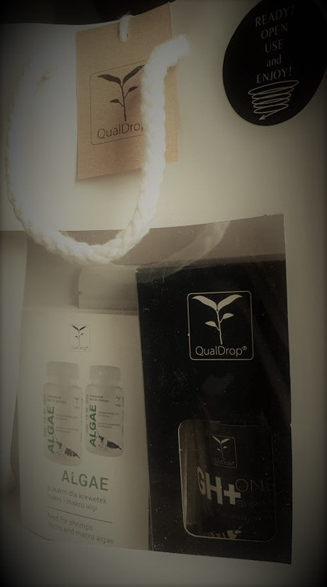 Start with GH+ONE TIGER – Happy Shrimp House